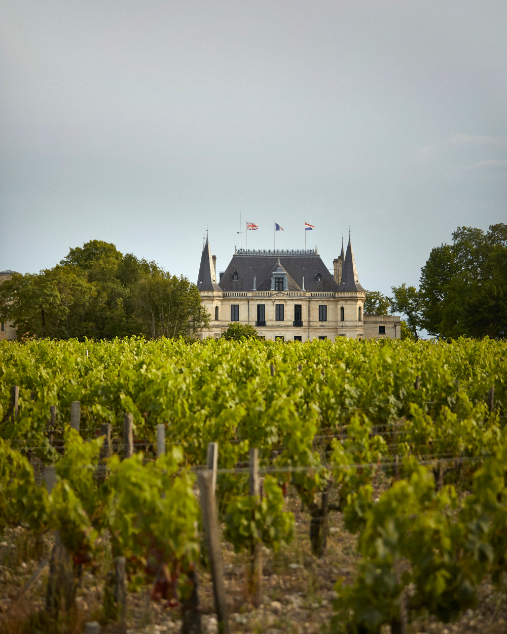 Thomas Duroux on becoming CEO of Château Palmer | Boulevard