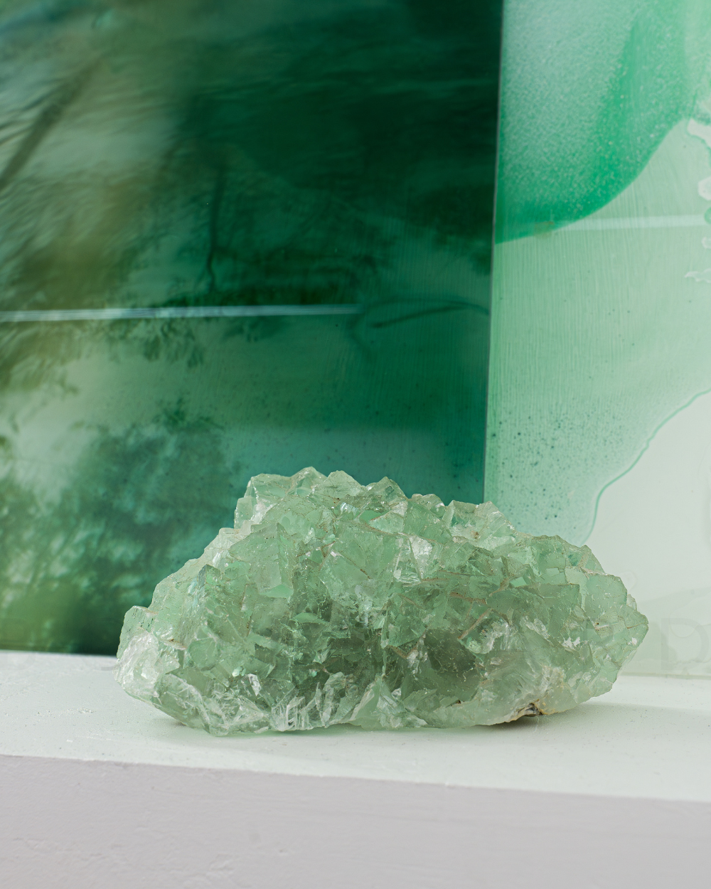 Janet Laurence's exhibition at Cassandra Bird Gallery | Boulevard