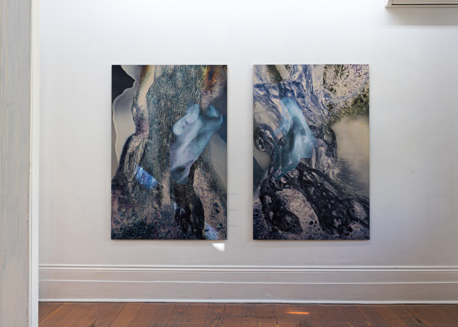 Janet Laurence's exhibition at Cassandra Bird Gallery | Boulevard